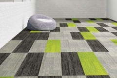 Carpet Flooring – PolyCliff